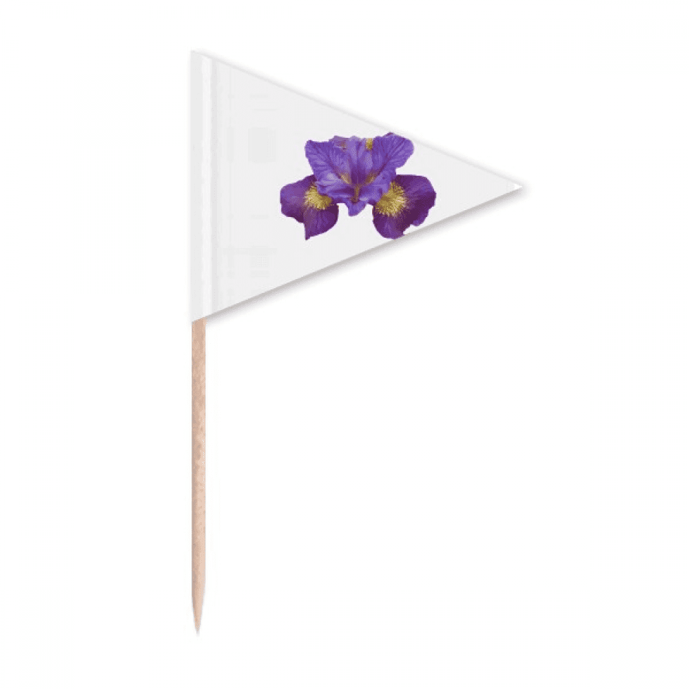 Flower Purple Orchid Toothpick Triangle Cupcake Toppers Flag - Walmart.com