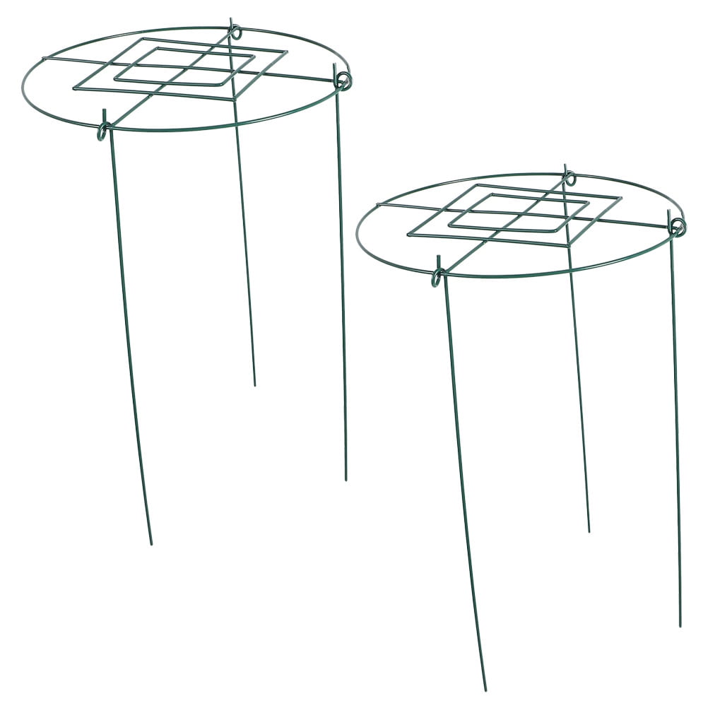 Flower Stand Support Frame Pergola Lattice Vine Rose Peonies Plants ...