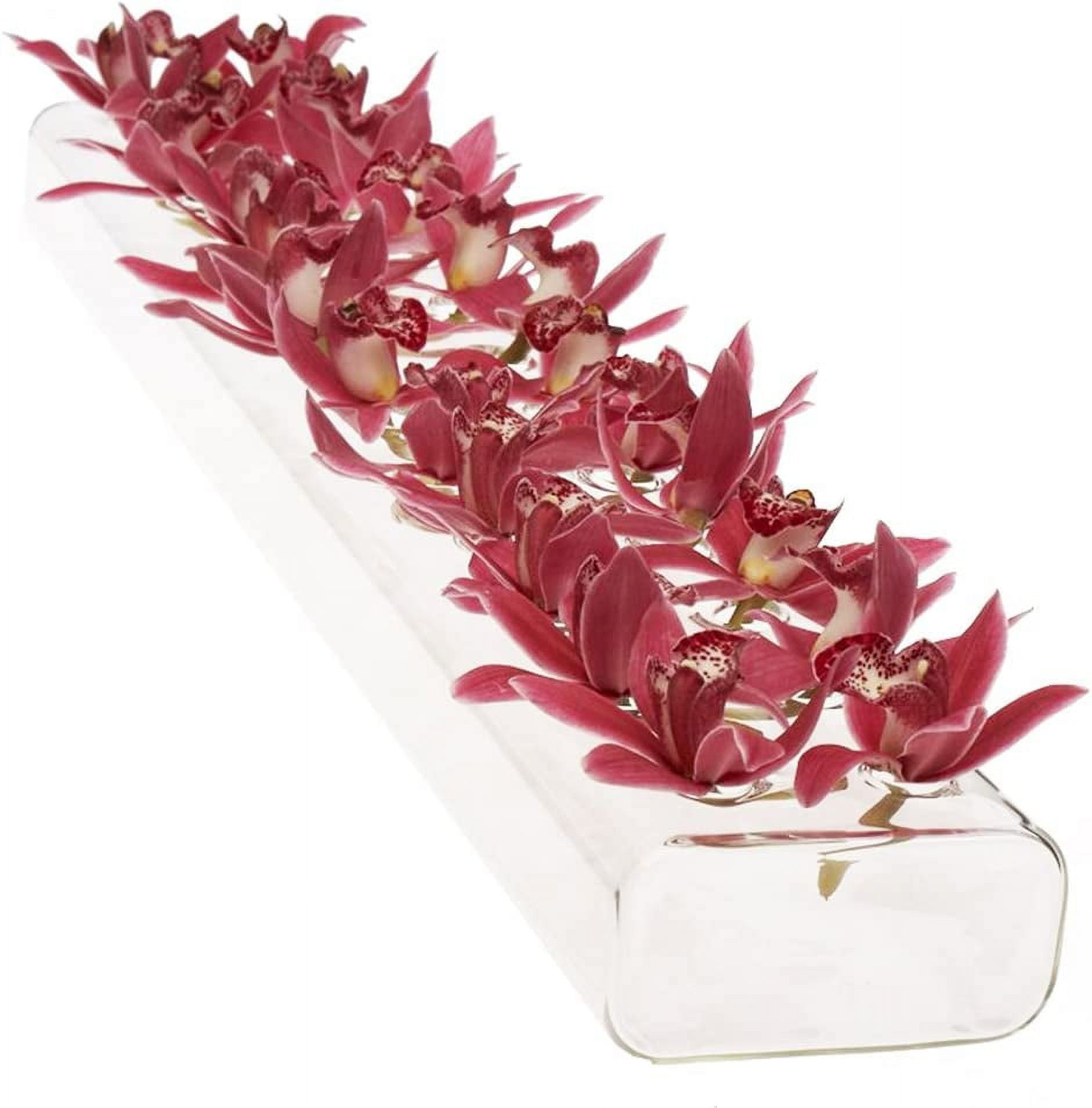 Flower Vase — Beautiful Large 24-Hole Multi-Chambered Clear Glass Bud ...