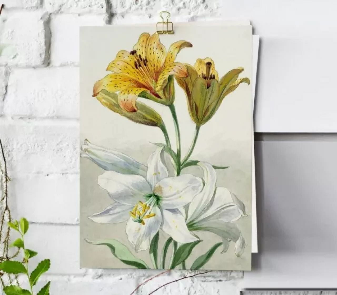 Flower Wall Print, Printable Wall Art, Vintage Flower Print, Botanical ...