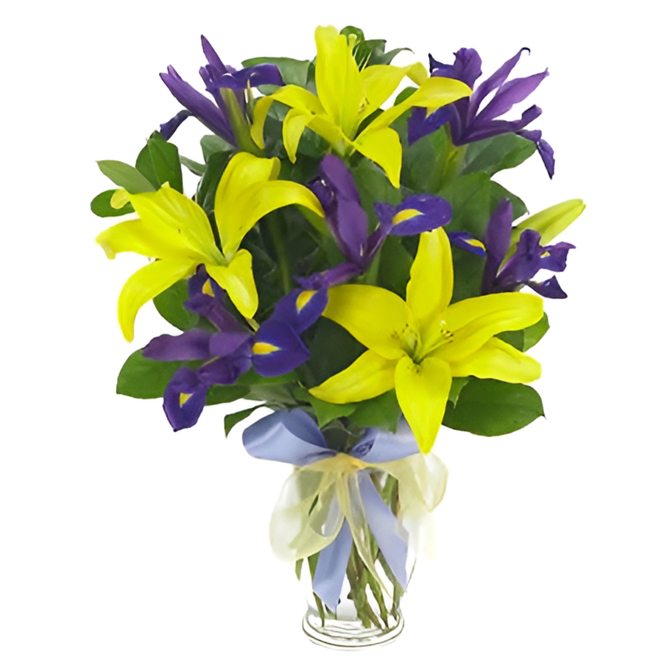 Flower World Atlanta Lily & Iris Surprise - Walmart.com