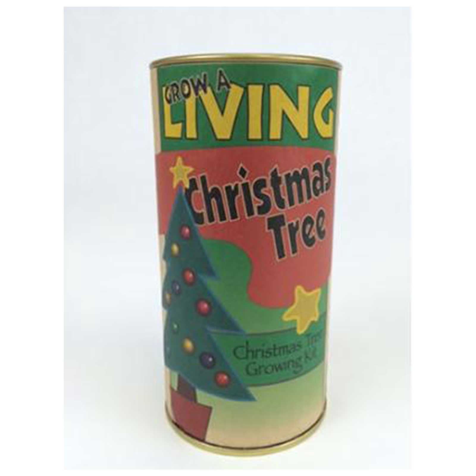 Flowering Dogwood Tree Growing Kit - Grow Flowering Dog Wood Trees from ...