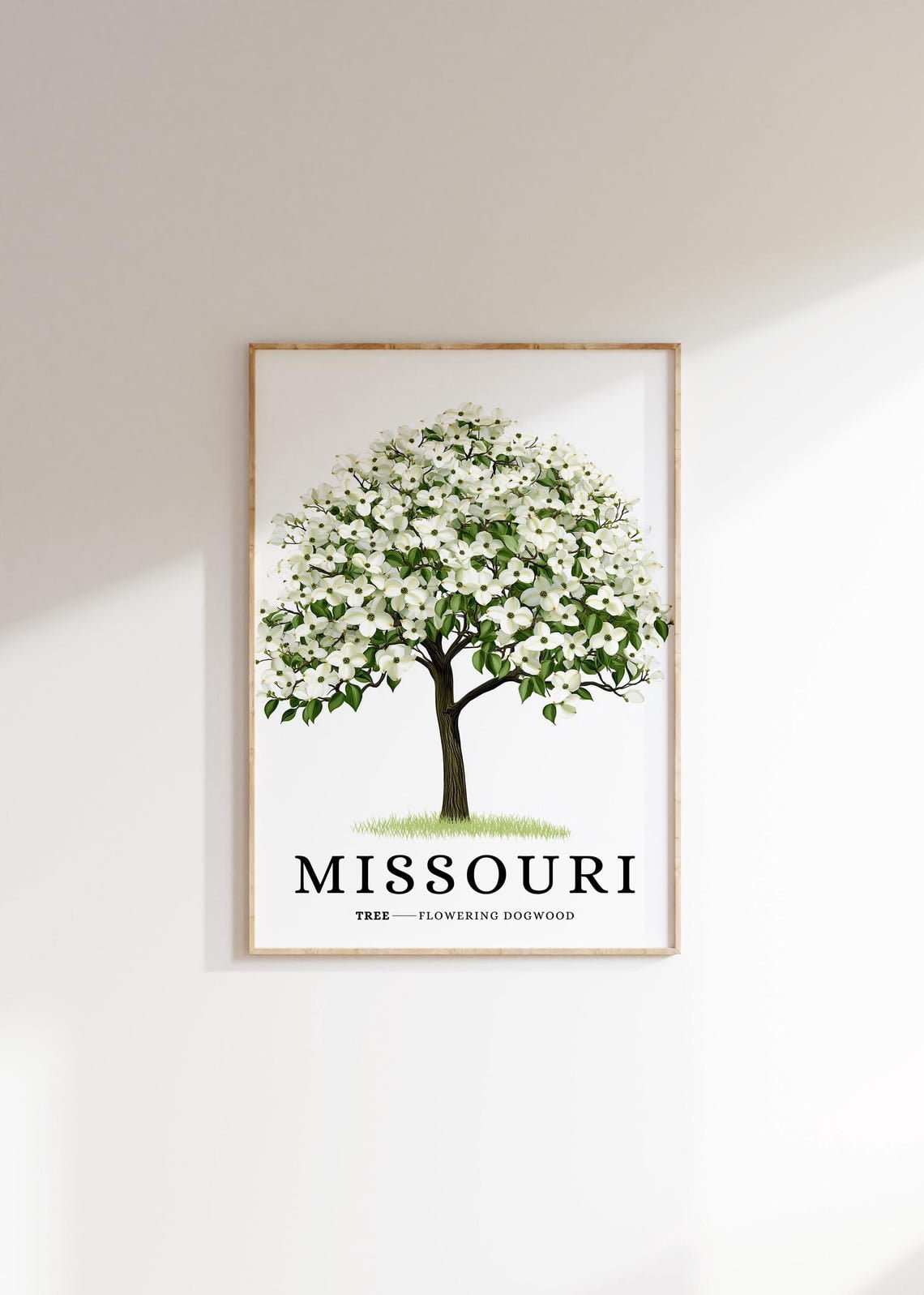 Flowering Dogwood Tree Poster: Missouri State Symbol Art, Stretched ...