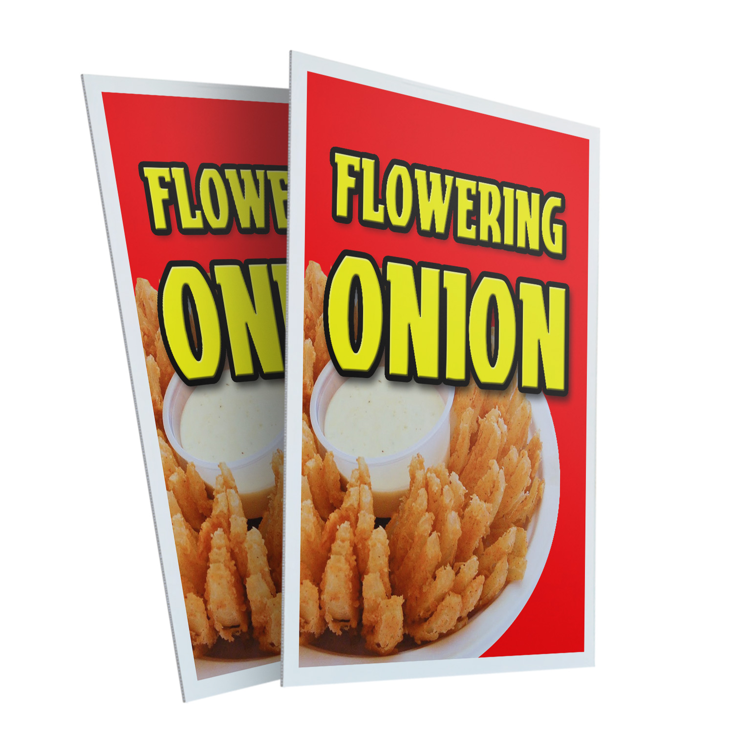 Flowering Onion (2-PACK) 24" x 36" Plastic Signs | Sign Insert 4mm ...