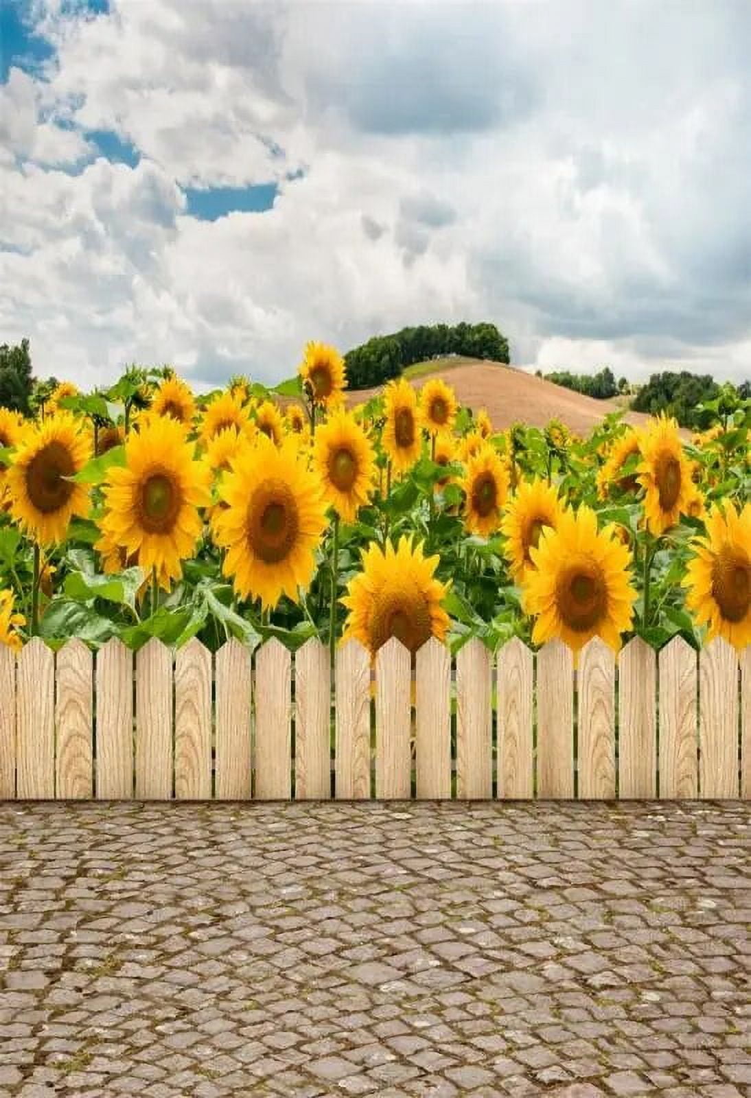 Flowers Blooming Trees Bokeh Wooden Floor Baby Portrait Photography Backdrops Photo Backgrounds ...