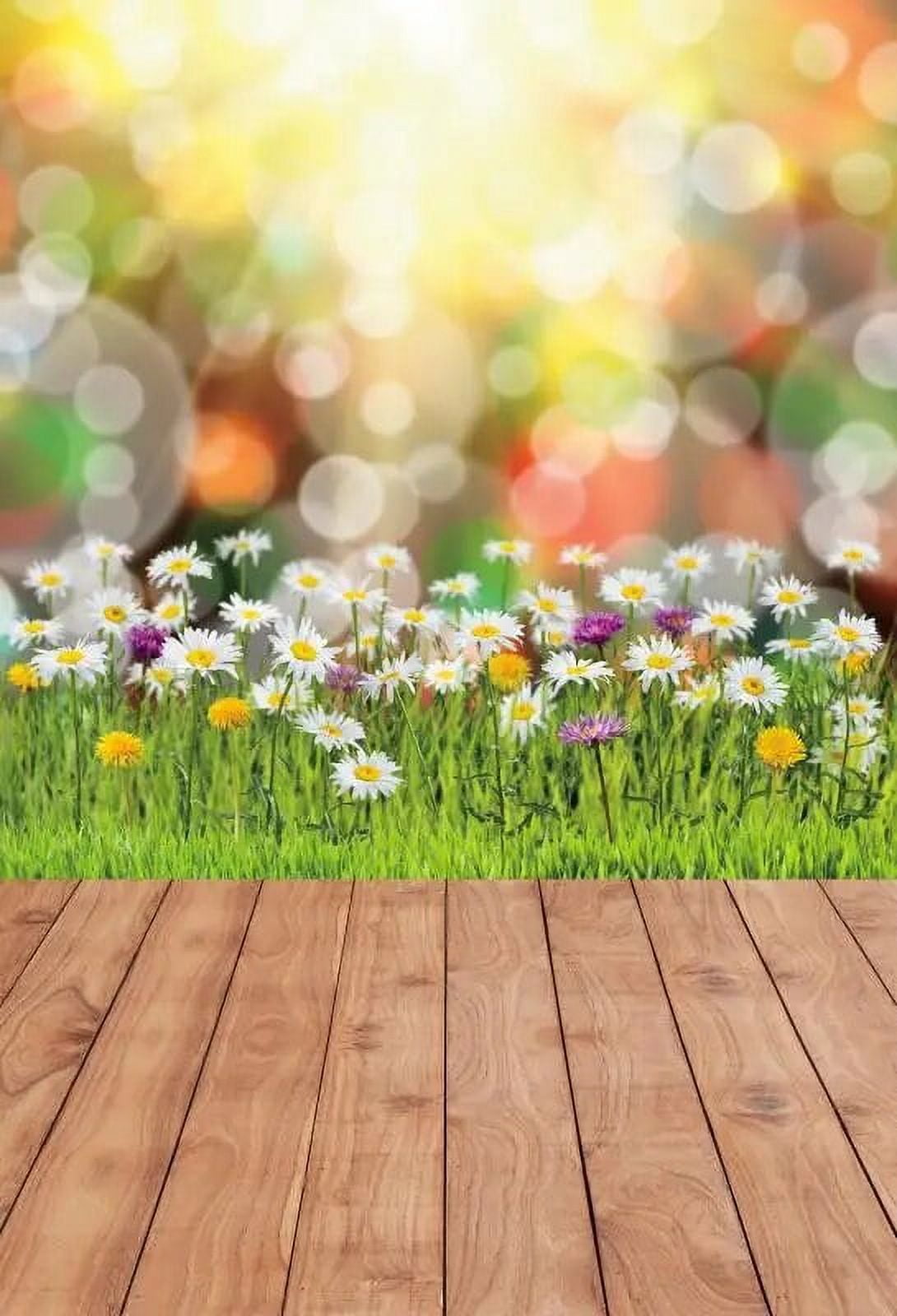 Flowers Blooming Trees Bokeh Wooden Floor Baby Portrait Photography ...