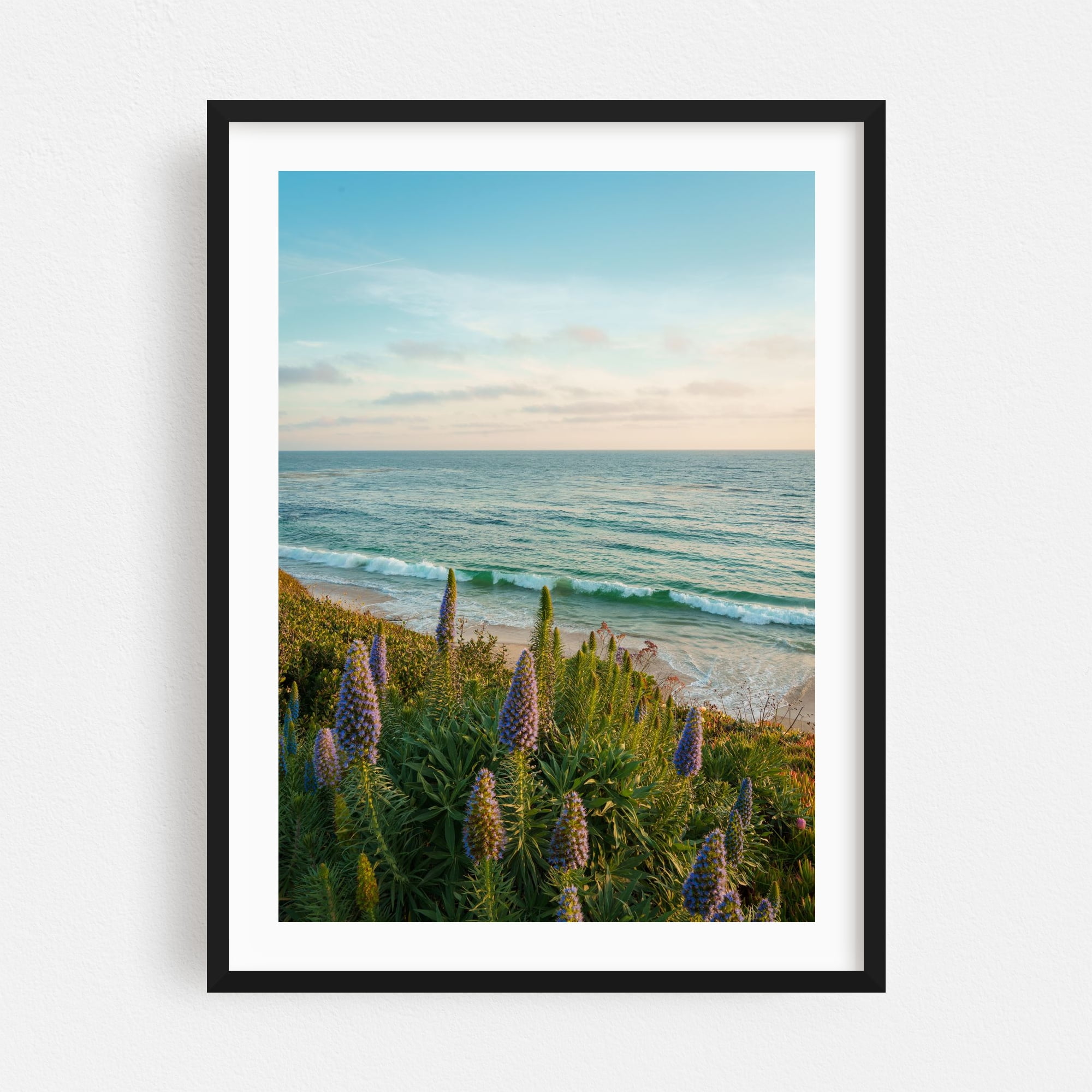 Flowers at Heisler Park, Laguna Beach - Laguna Beach California ...
