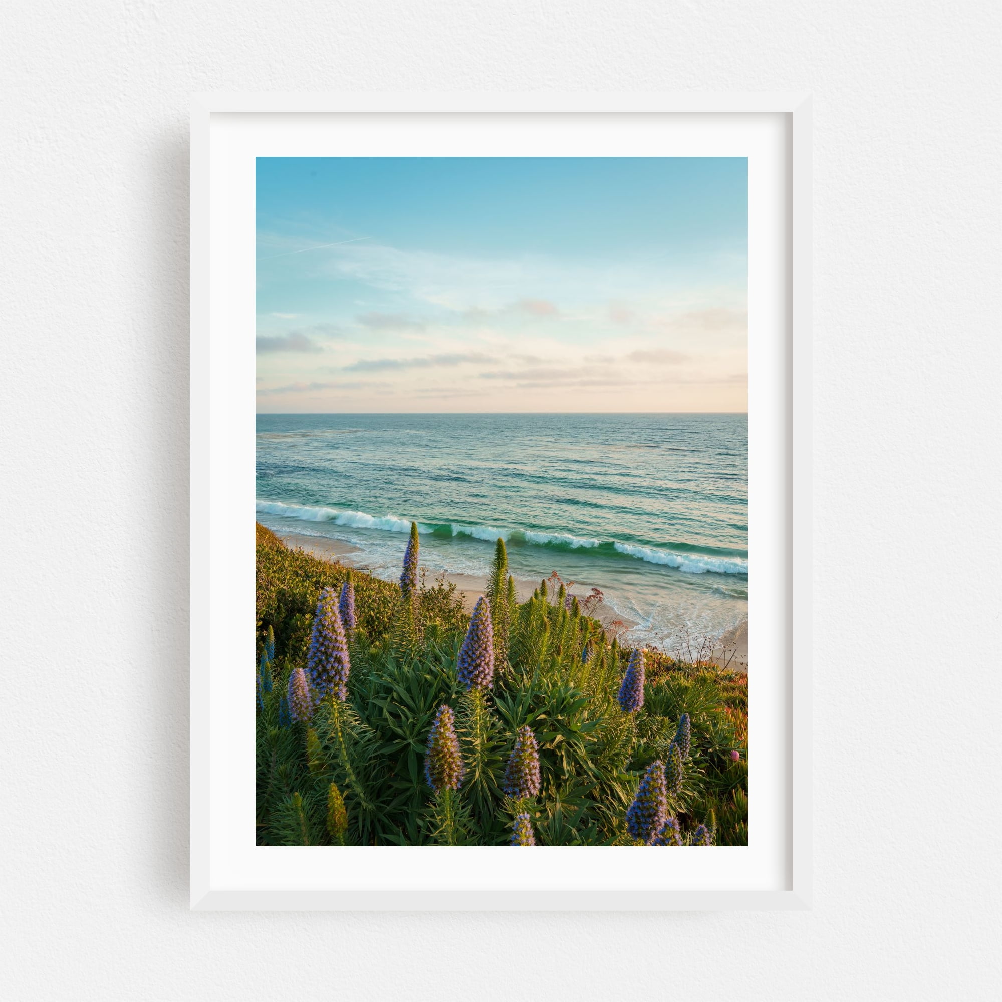 Flowers at Heisler Park, Laguna Beach - Laguna Beach California ...