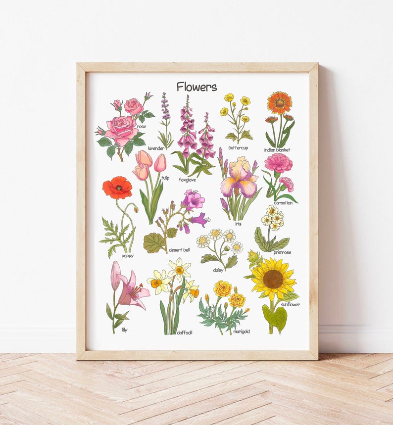 Flowers Poster Homeschool Educational Classroom Playroom Nursery ...