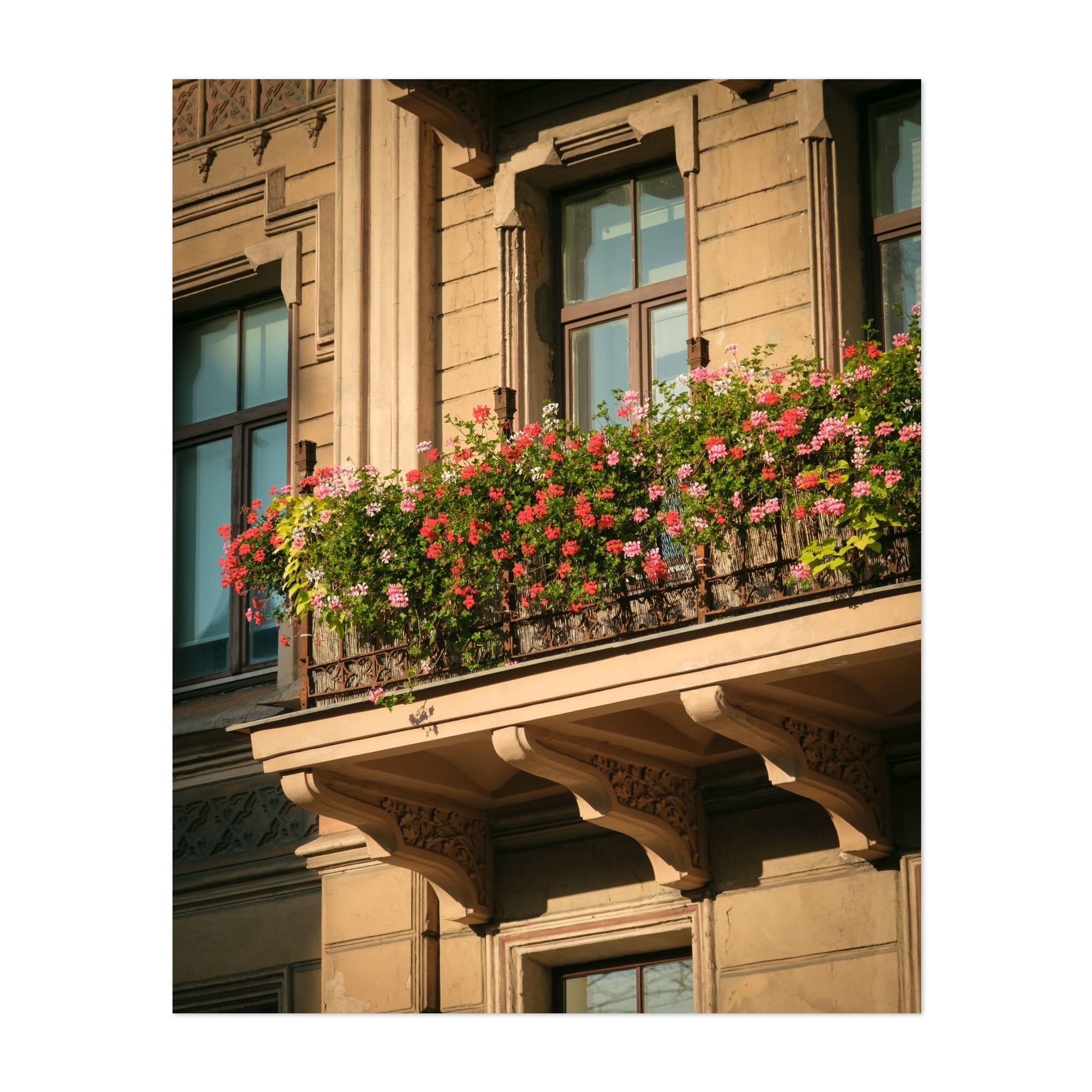 Flowers, Riga - Riga Latvia Photography Architecture Flowers Floral ...