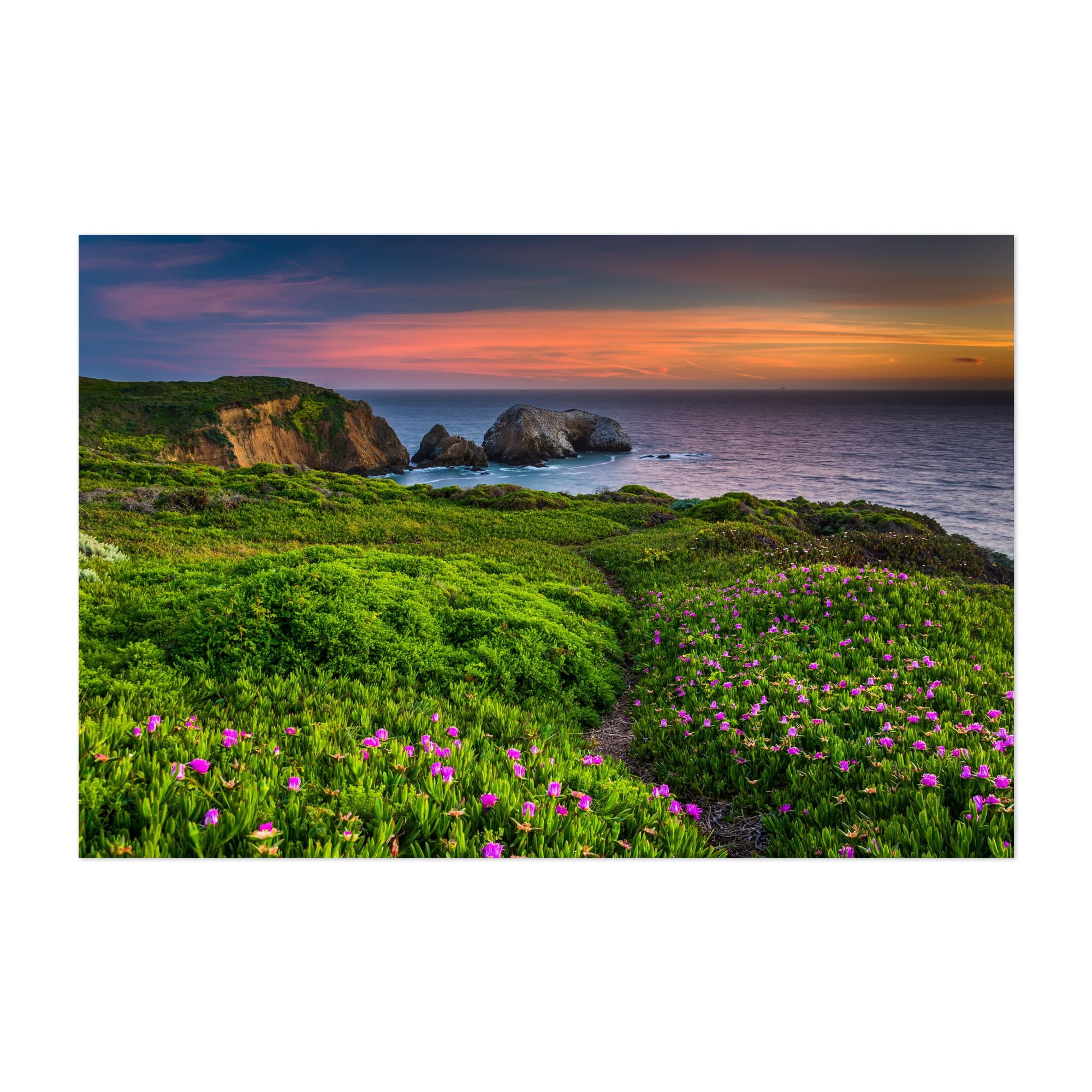 Flowers over Rodeo Beach - San Francisco California Photography Coastal ...