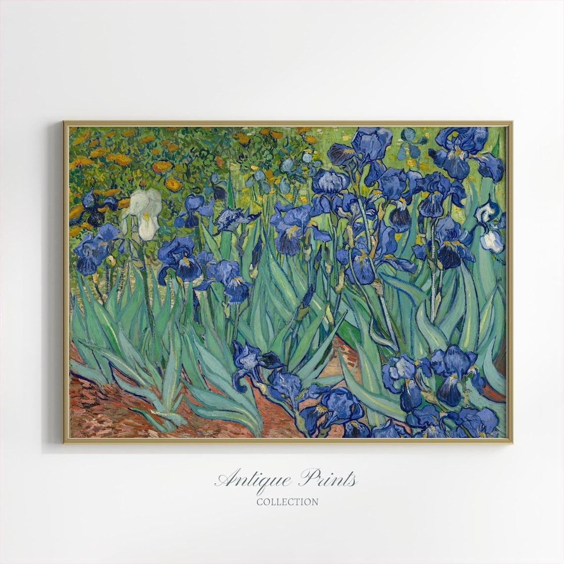 Flowers Vintage, Impressionism Wall Art, Flower, Irises Fine Art ...