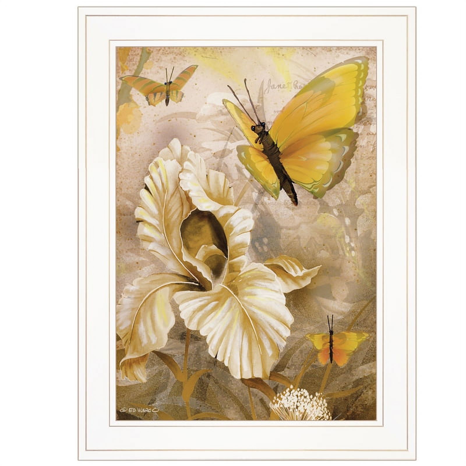 Flowers and Butterflies I By Ed Wargo Printed Wall Art Wood Multi-Color ...