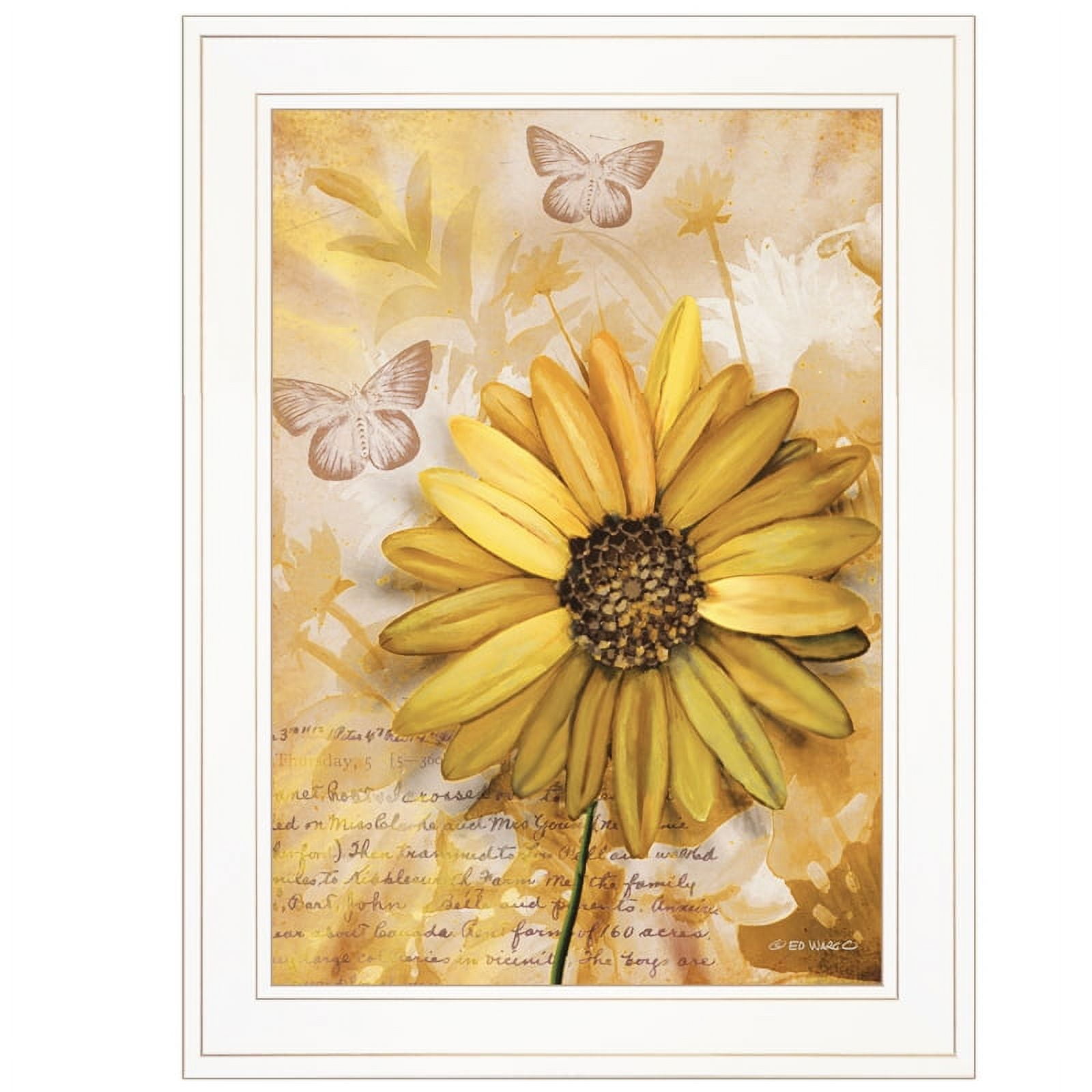 Flowers and Butterflies II By Ed Wargo Printed Wall Art Wood Multi ...