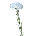 Flowers for Home Wedding Centerpieces Carnations Long-Lasting Silk ...