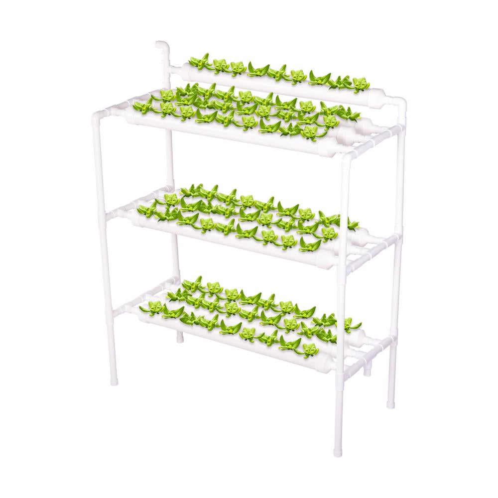 Flroha Hydroponics Growing System, Grow Kits 110V American Standard, 3 ...