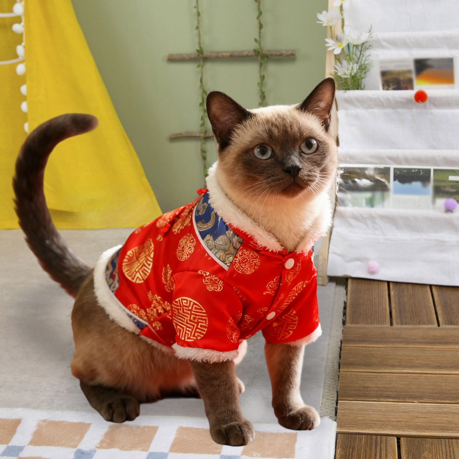 Softsoap Traditional Chinese Tang Cat Costume With Frog Buttons Elegant ...