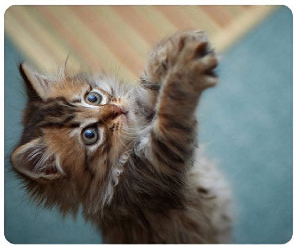 Fluffy Kitten Mouse pads Gaming Mouse Pad 9.84x7.87 inches - Walmart.com