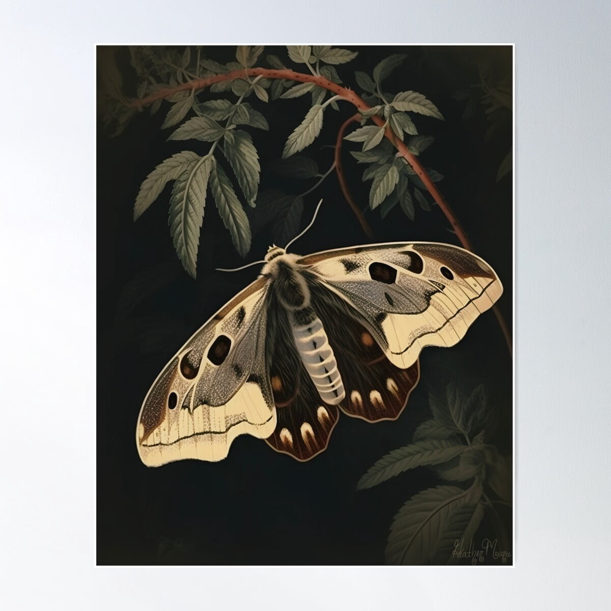 Fluffy Moth On A Branch Poster Wall Art, Modern Wall Decor For Living ...
