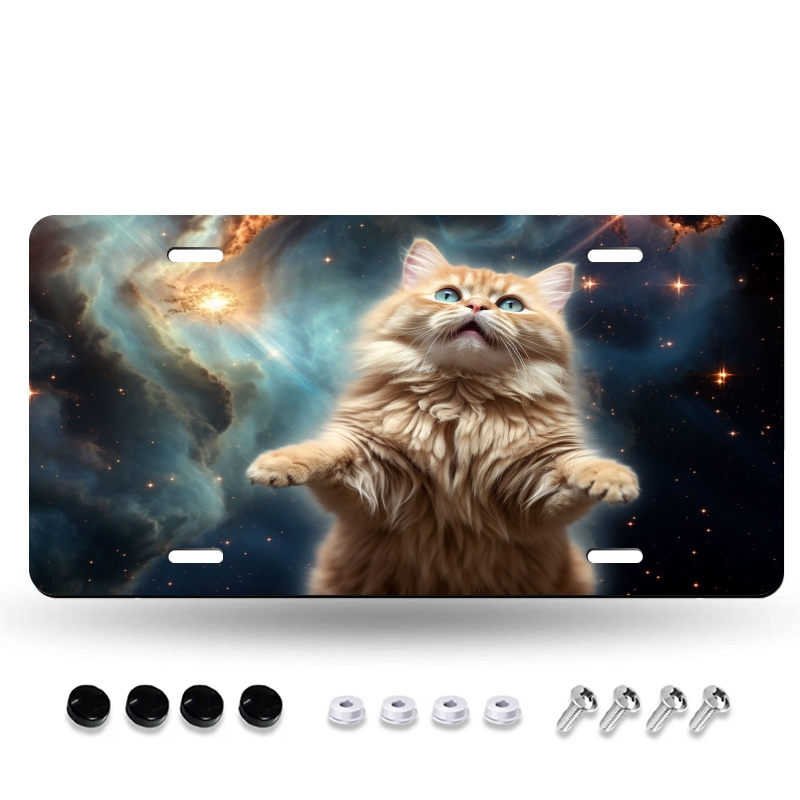 Fluffy Orange Cat With Blue Eyes Floating in Space License Plate Frame ...