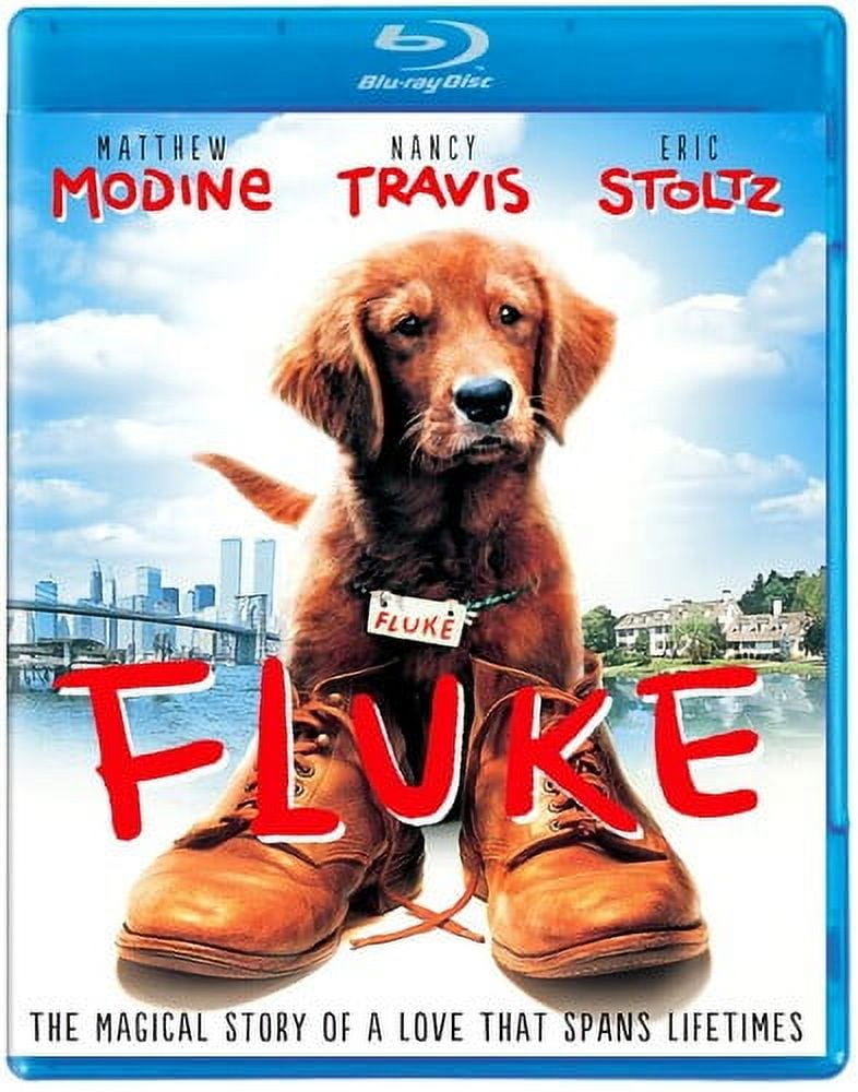 Fluke (Blu-ray), KL Studio Classics, Drama - Walmart.com