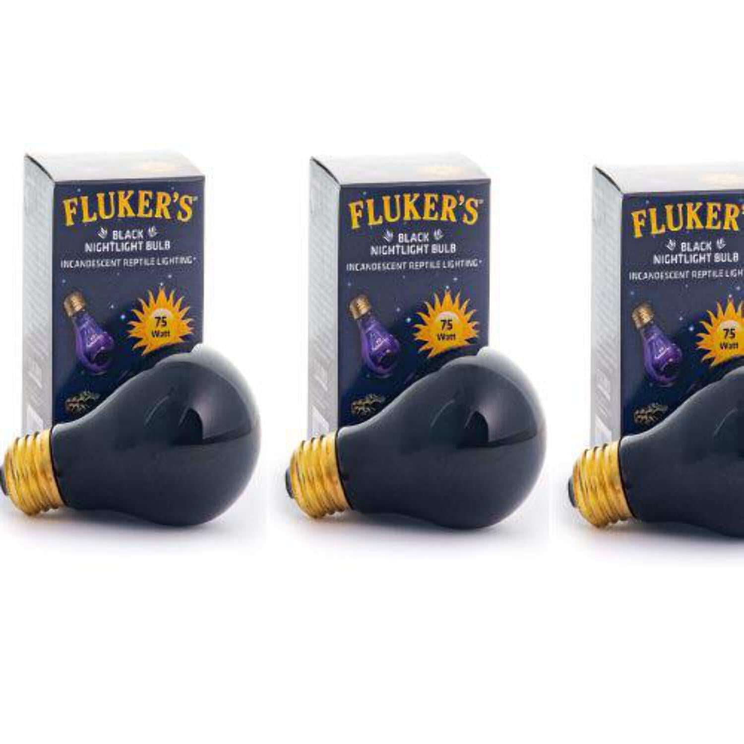 Fluker's Black Nightlight Bulb 75-Watt for Reptiles - Walmart.com
