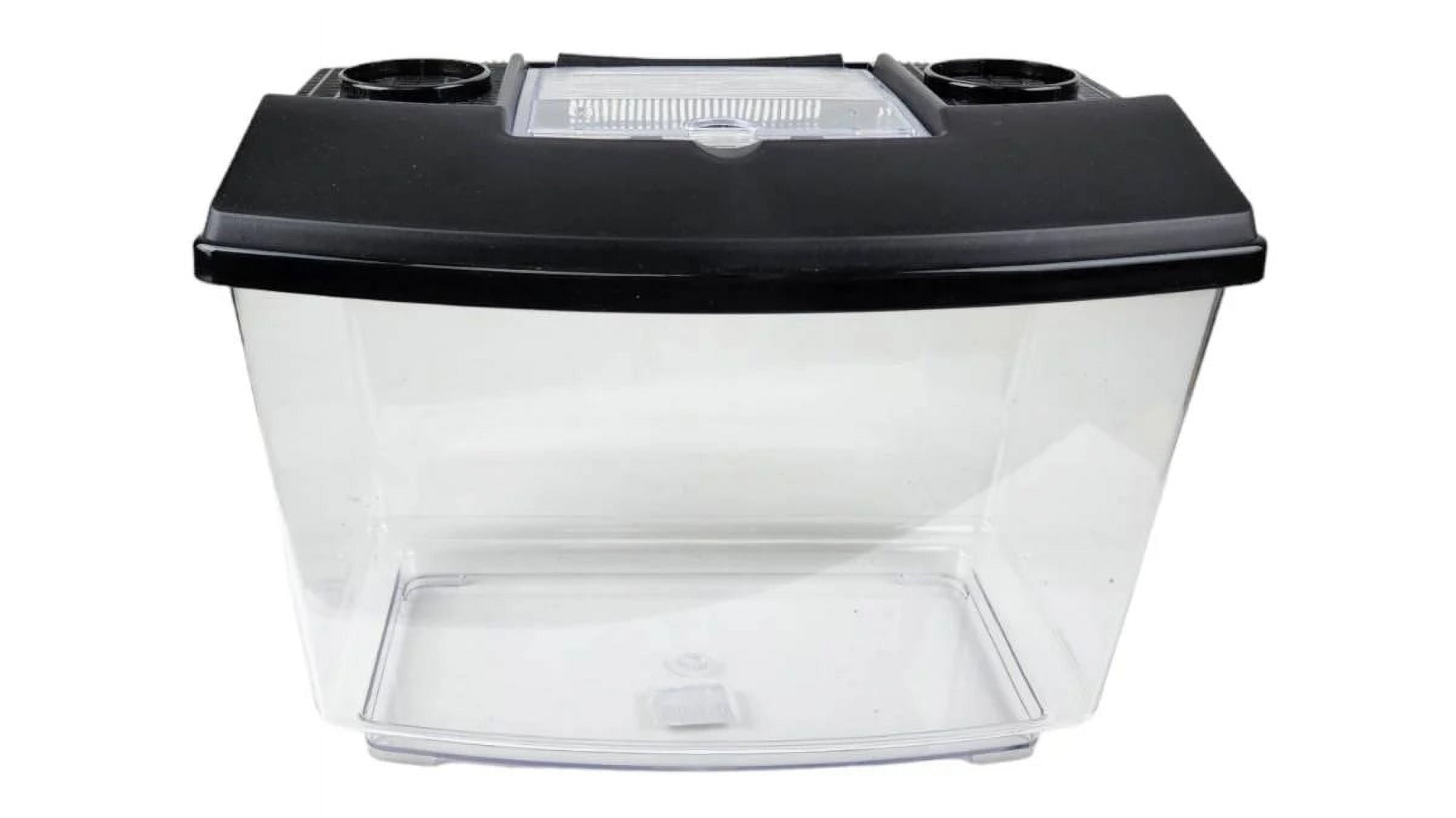 Large Plastic Terrarium