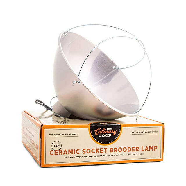 Fluker's The Culinary Coop 10" Ceramic Socket Brooder Lamp for Chickens ...