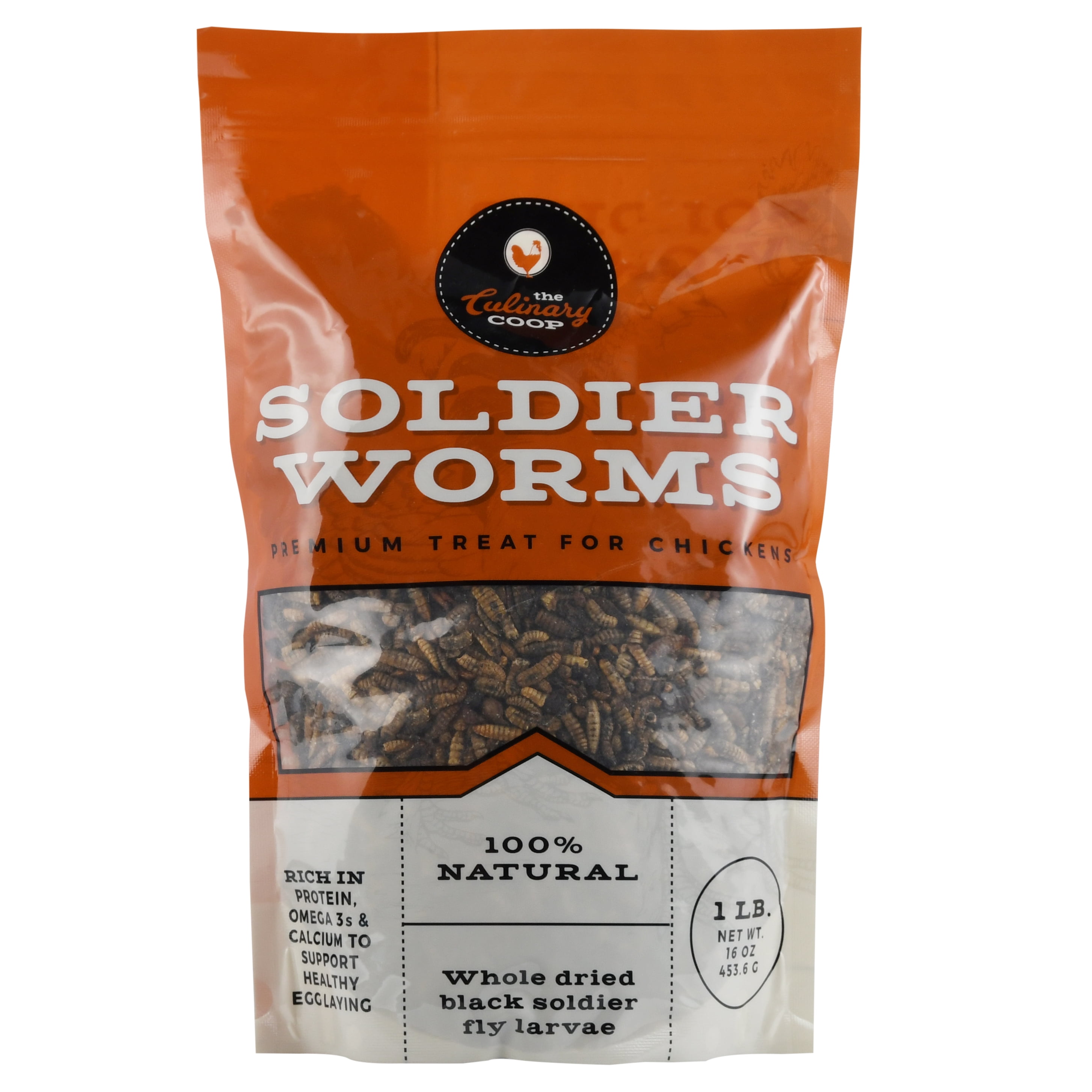 The Culinary Coop Dried Soldier Worms 16 oz All-Natural Treat for ...