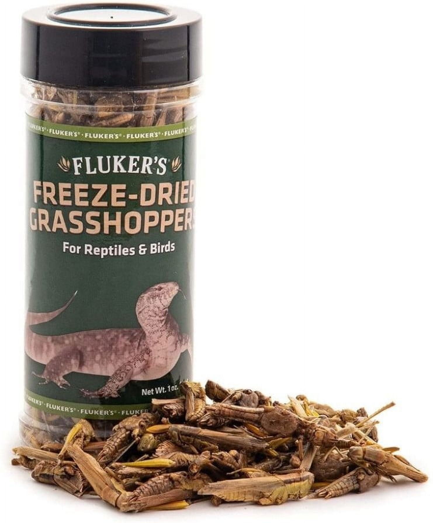 Flukers Freeze-Dried Grasshoppers for Reptiles and Birds - Walmart.com