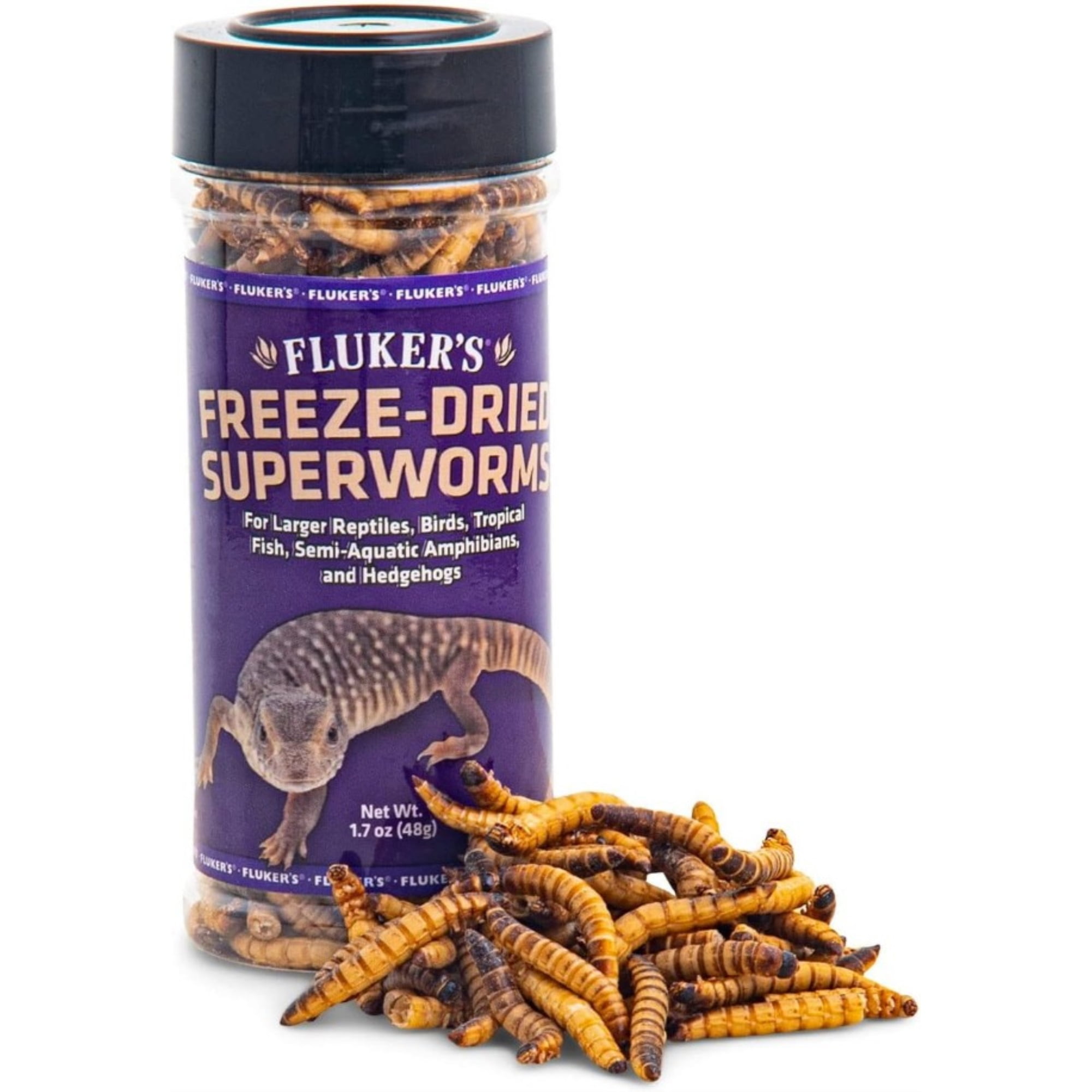 Flukers Freeze Dried Superworms for Reptiles - Walmart.com