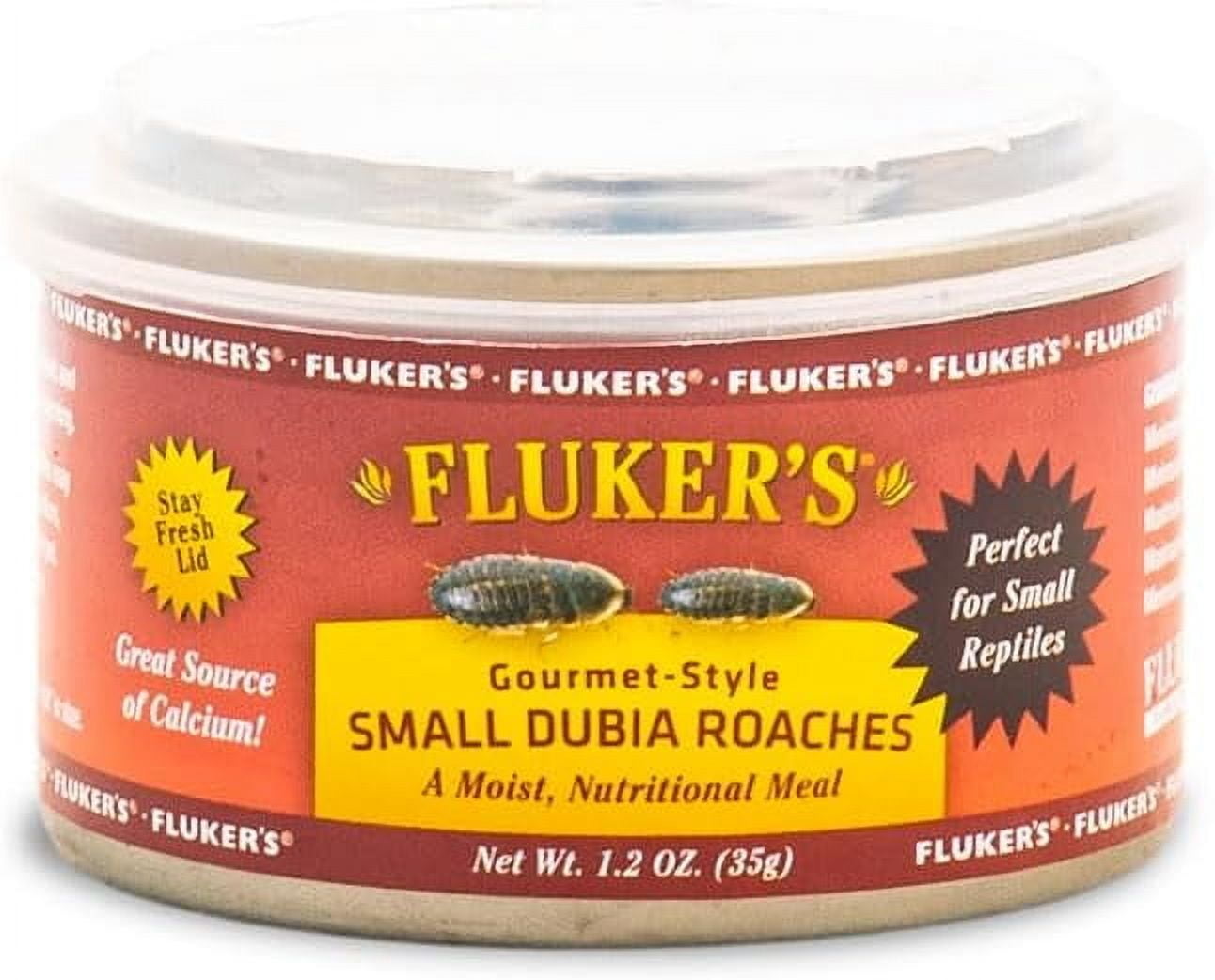 Fluker's Gourmet Canned Food for Reptiles, Small Dubia Roaches, 1.2 oz ...