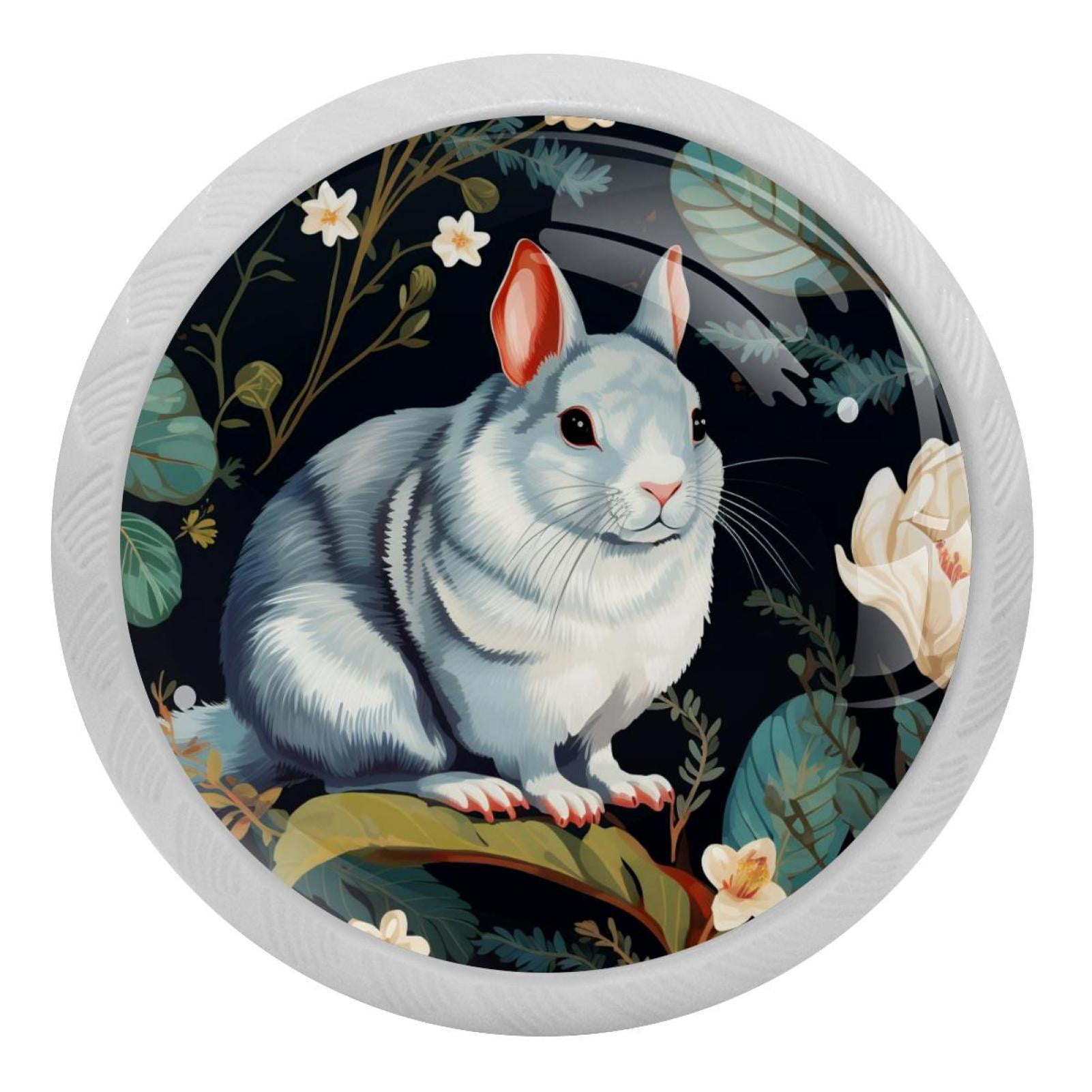 Fluorescent Drawer Pulls: Round 4-Pack Glow-in-the-Dark Knobs for ...