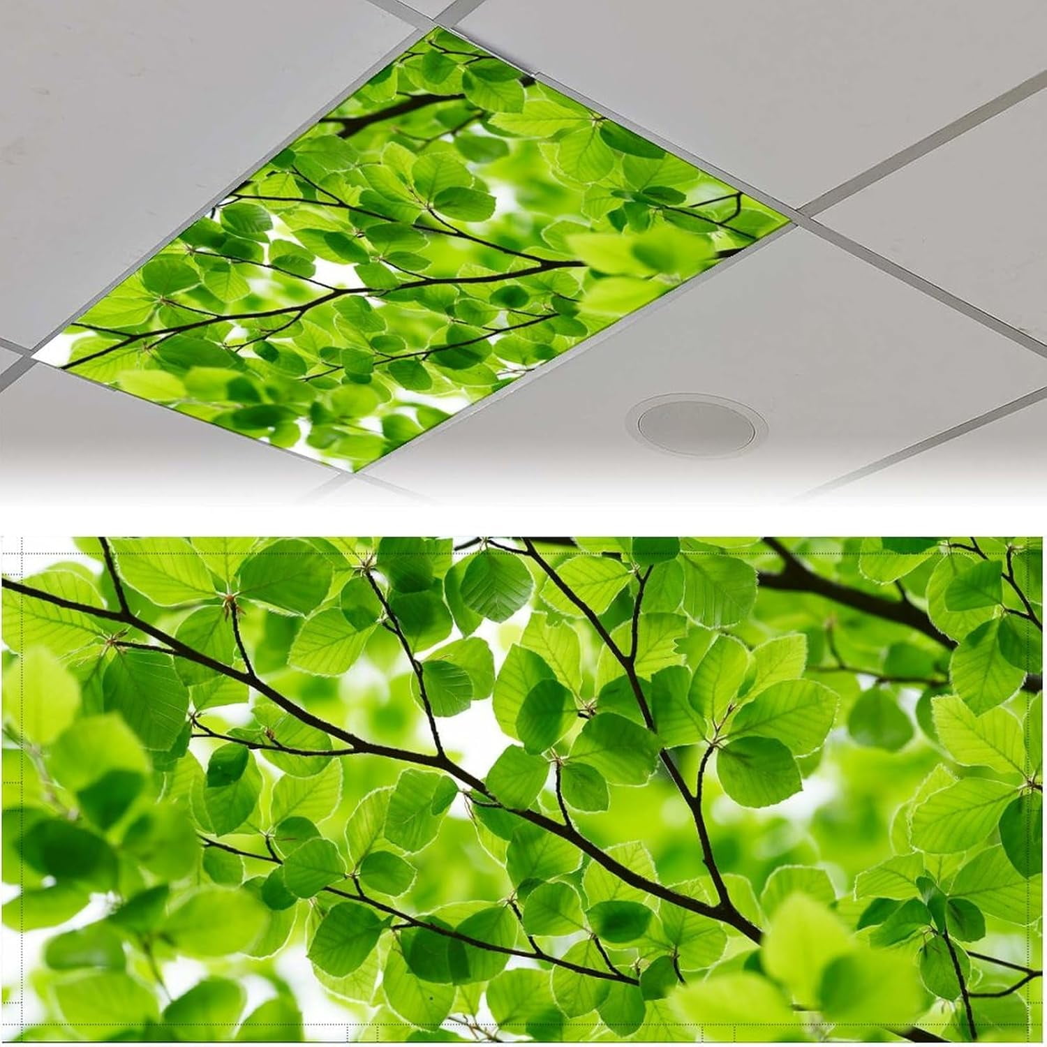 Fluorescent Light Cover For Classroom - 2 Pcs Spring Green Magnetic ...