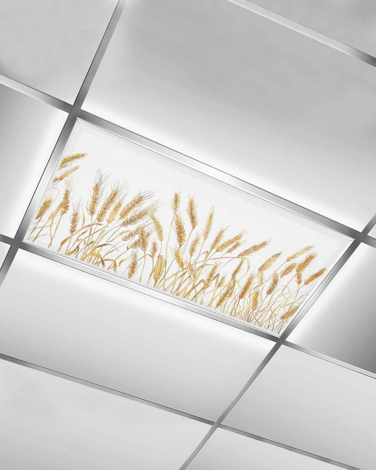 Fluorescent Light Covers for Ceiling Lights 1 Pack, Fall Wheat Magnetic Ceiling Light Covers ...