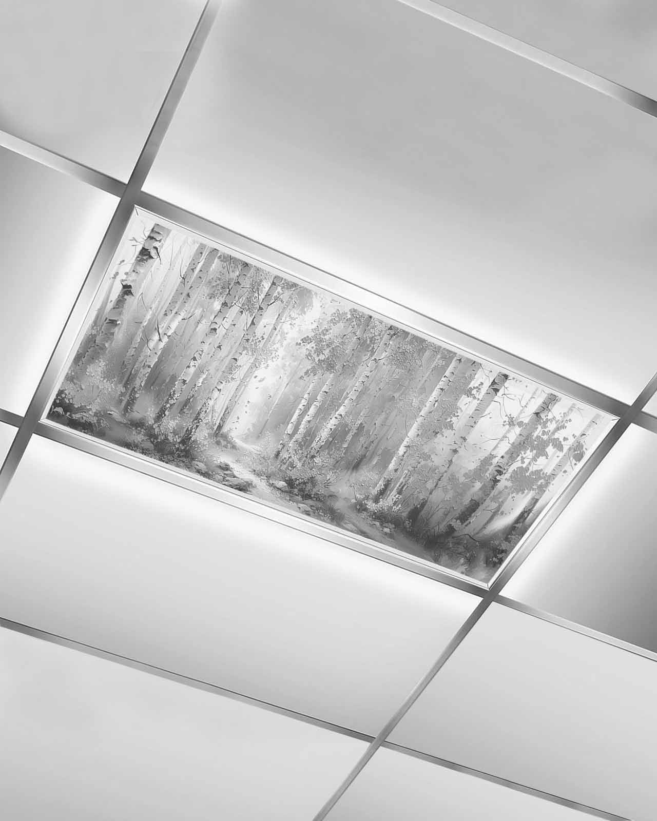 Fluorescent Light Covers for Ceiling Lights 1 Pack, Grey Magnetic ...