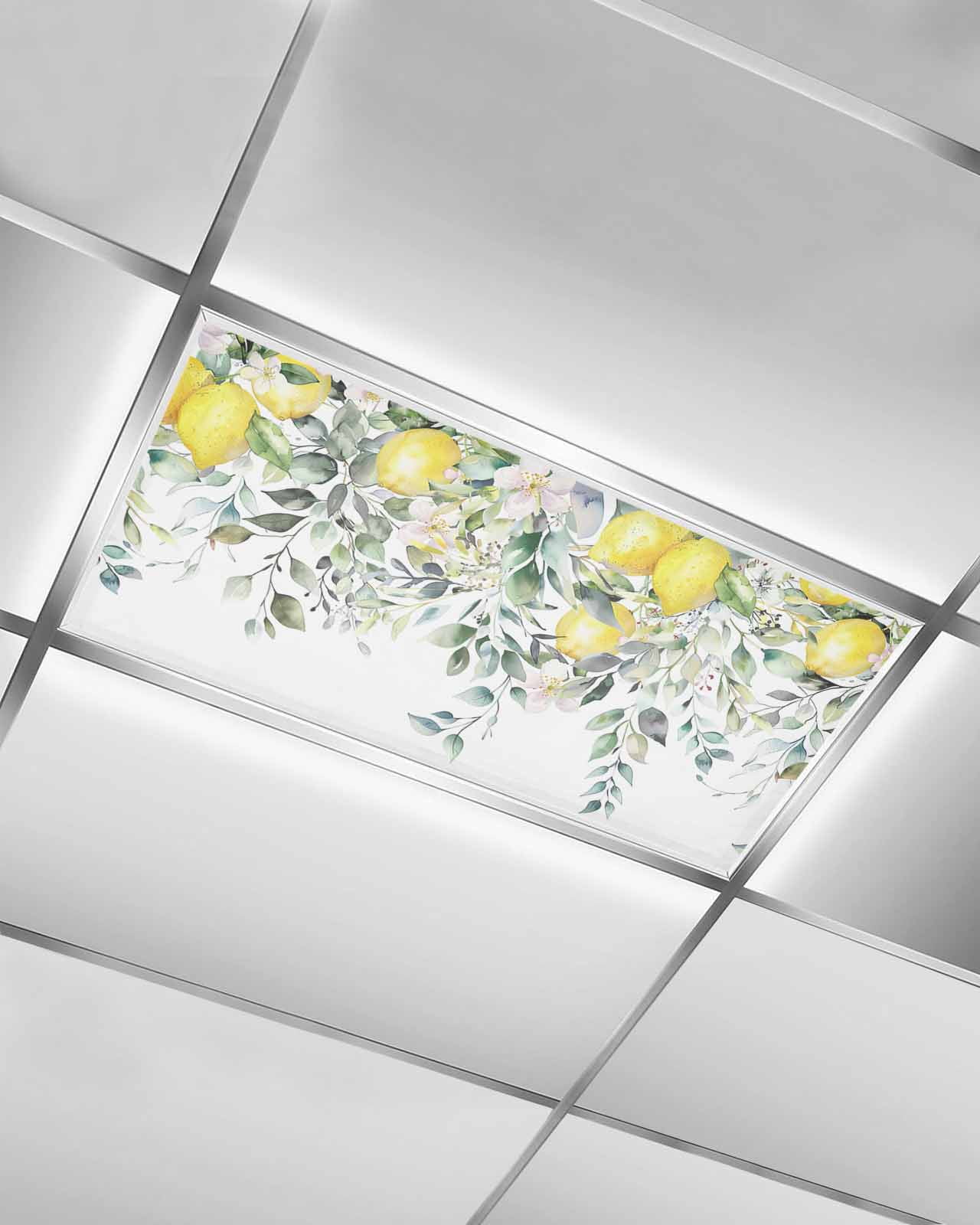 Fluorescent Light Covers for Ceiling Lights 1 Pack, Summer Lemon ...