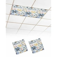 Octo Lights - 2x4 Flexible Panel Ceiling Light Covers - Astronomy 001 ...