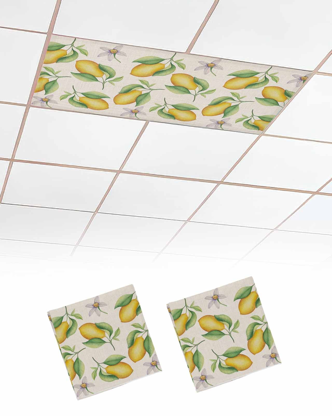 Fluorescent Light Covers for Ceiling Lights 2 Pack, Summer Lemon ...