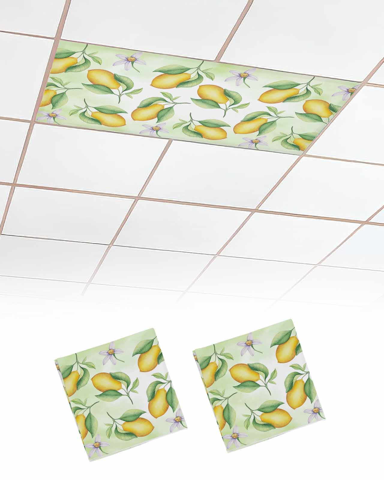 Fluorescent Light Covers for Ceiling Lights 2 Pack,Summer Lemon ...