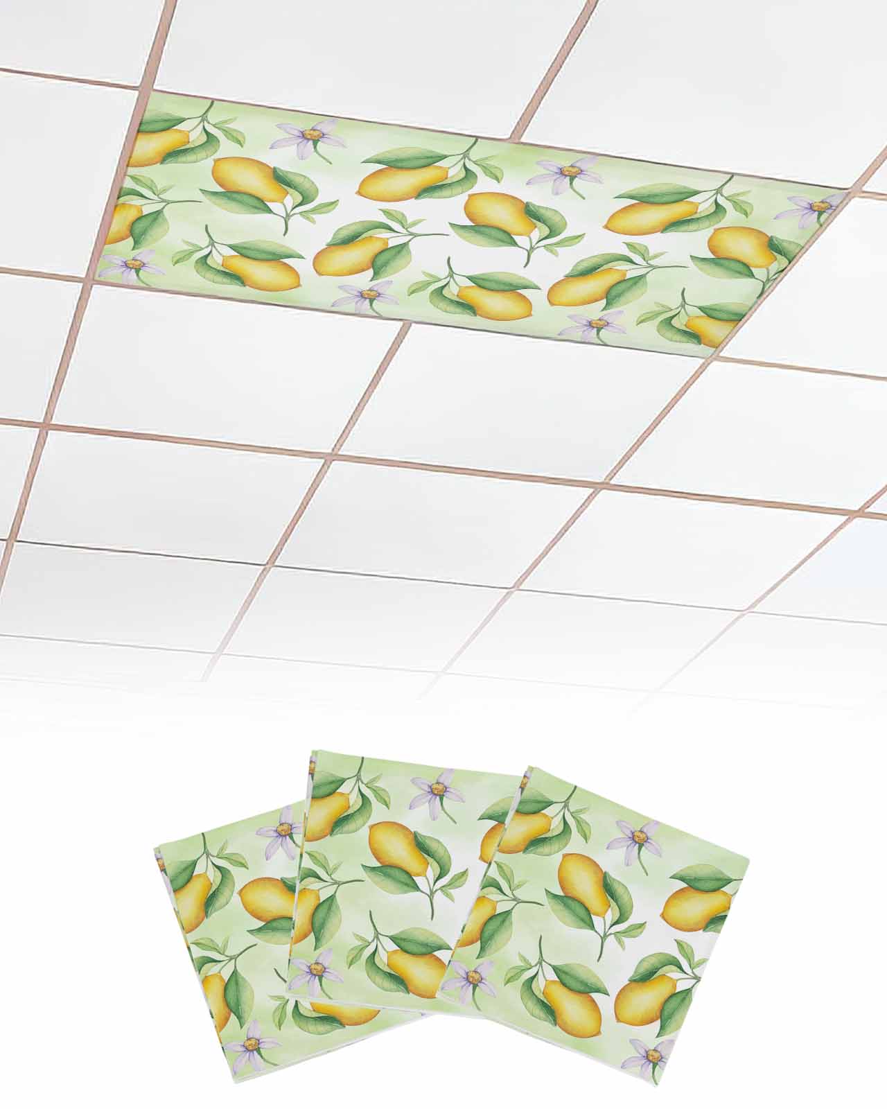 Fluorescent Light Covers for Ceiling Lights 3 Pack,Summer Lemon ...