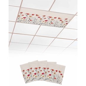 2x4 Fluorescent Light Fixture Lens