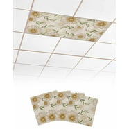 Octo Lights - 2x4 Flexible Panel Ceiling Light Covers - Astronomy 001 ...