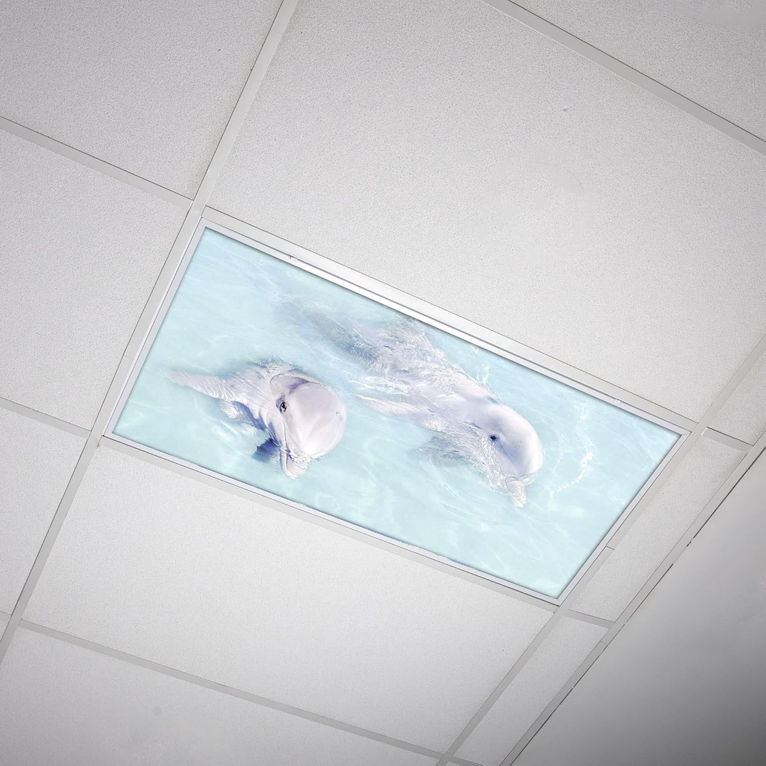 Fluorescent Light Covers for Ceiling Lights Classroom 2x4 (22.38in X 46 ...