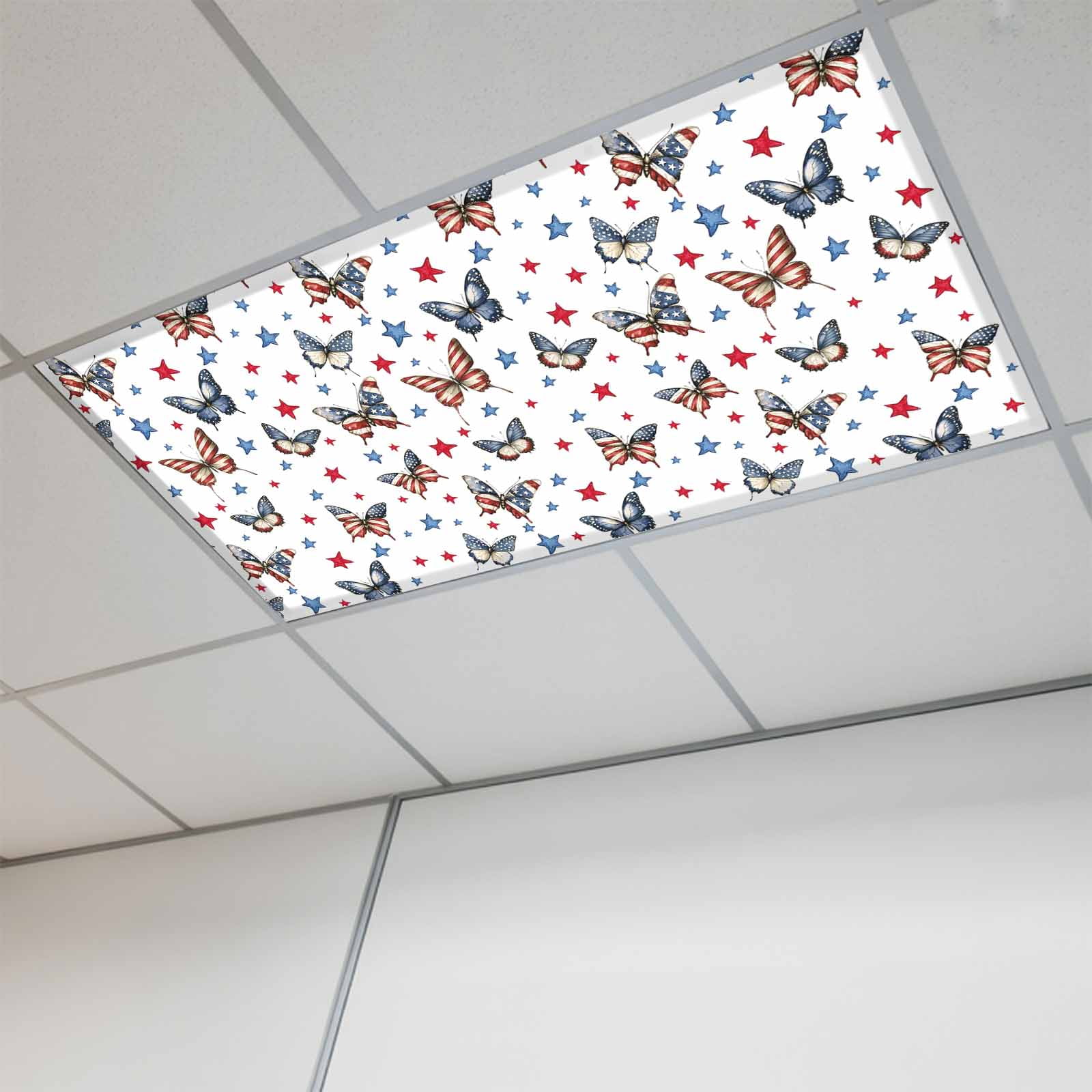 Fluorescent Light Covers for Ceiling Lights Classroom, 4th of July ...