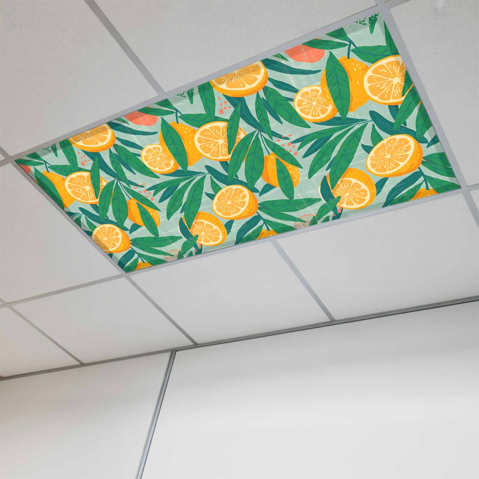 Fluorescent Light Covers for Ceiling Lights Classroom, Tropical ...