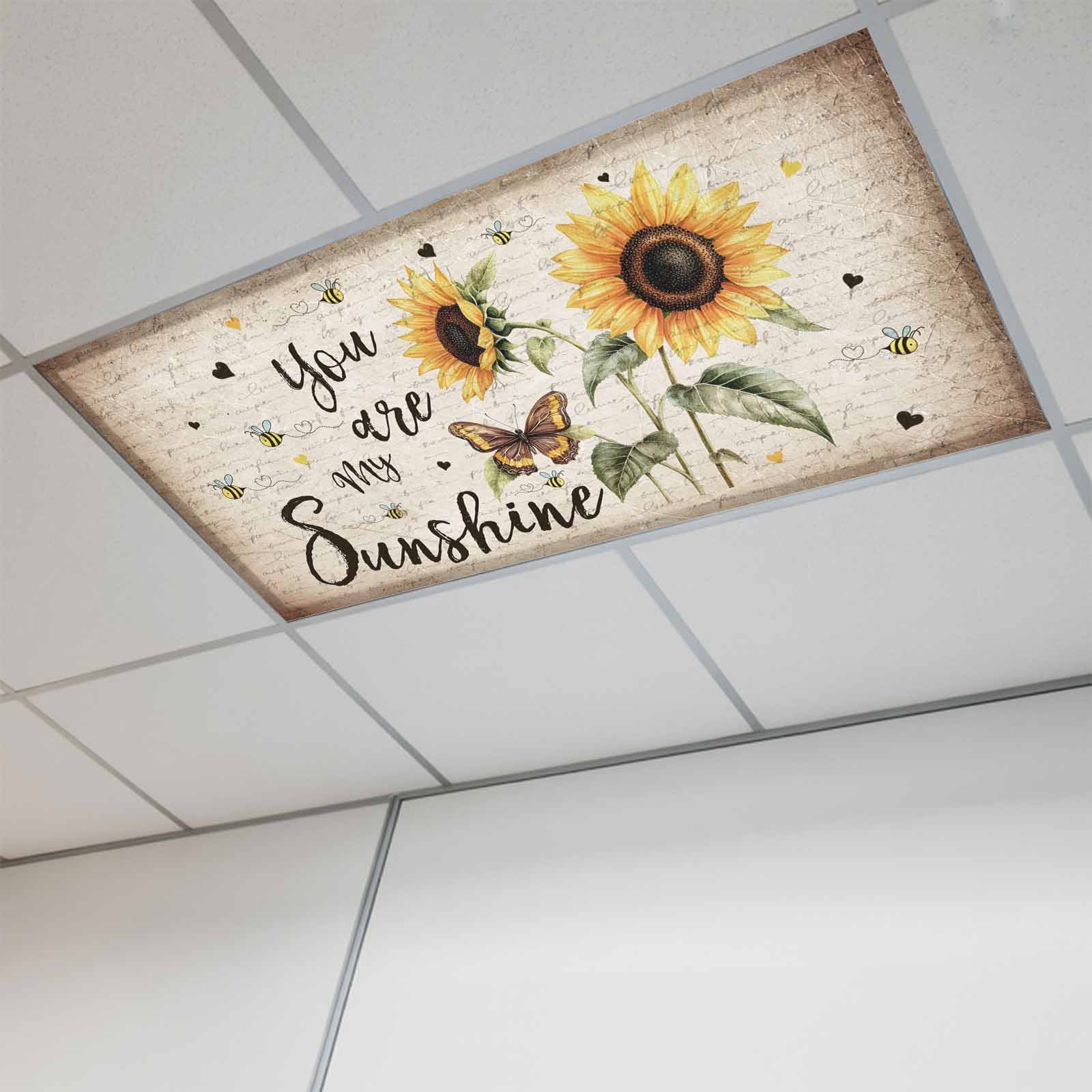 Fluorescent Light Covers for Ceiling Lights Classroom, You Are My ...