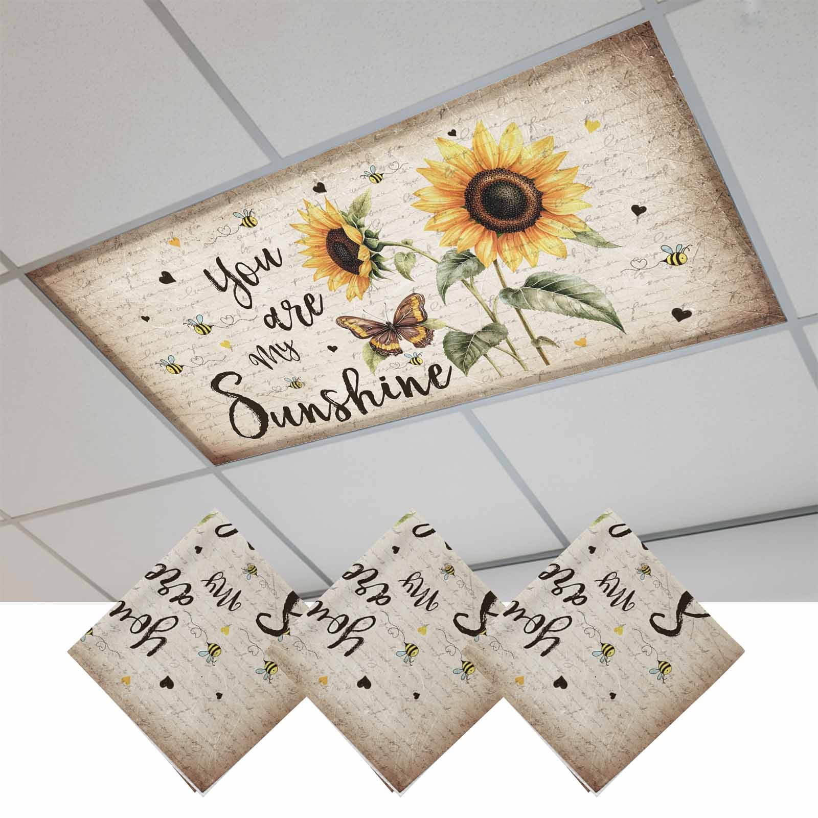 Fluorescent Light Covers for Ceiling Lights Classroom, You Are My ...