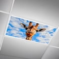 Fluorescent Light Covers for Ceiling Lights - Cloud Cover for ...