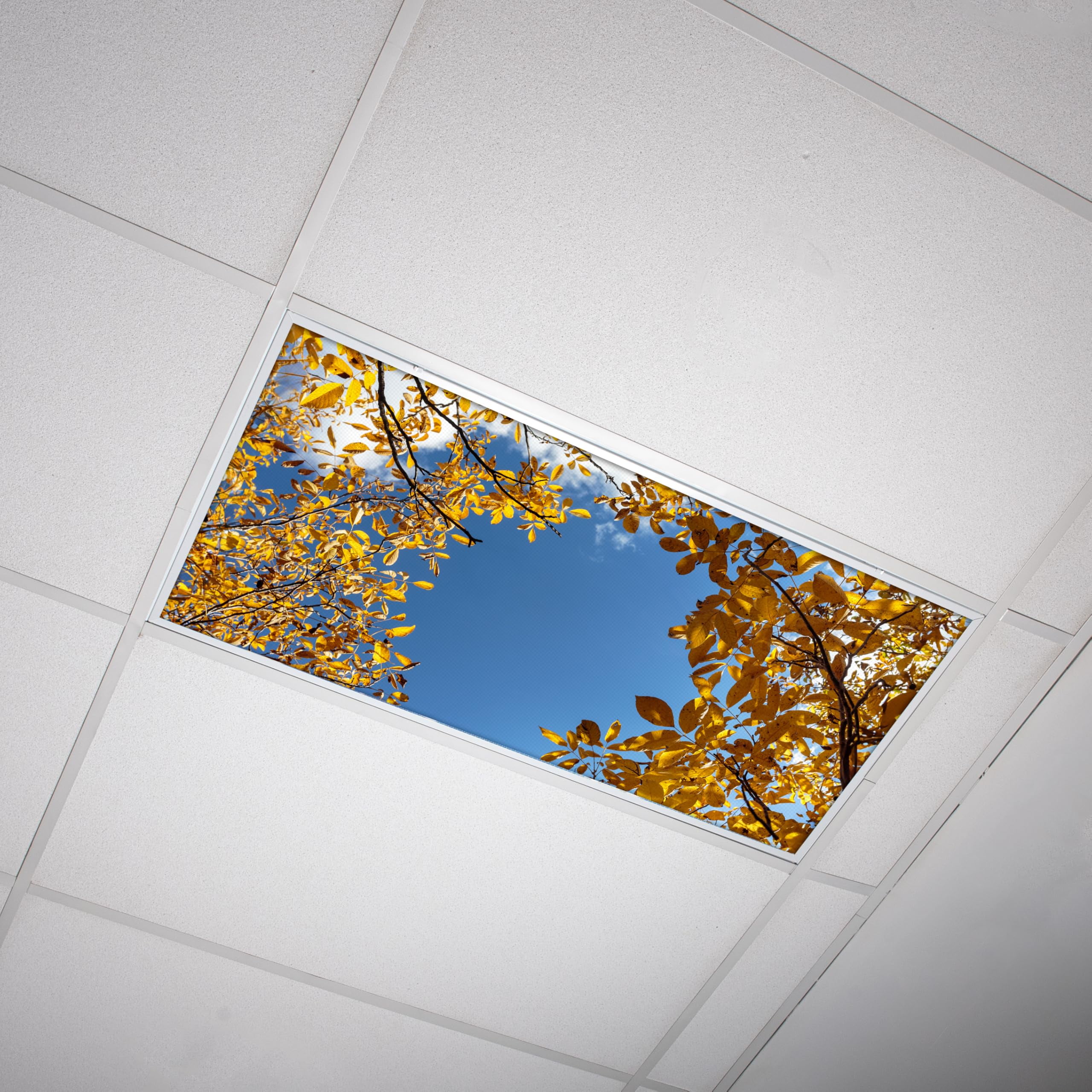 Fluorescent Light Covers for Classroom Ceiling Lights 2x4 Feet 22.38x46 ...